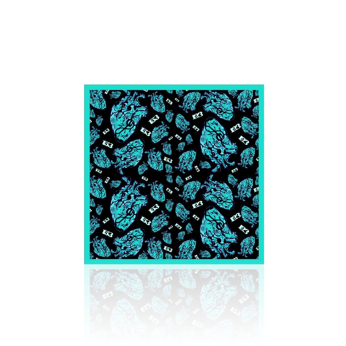 Dionela Tour Collection – Universal Music Philippines